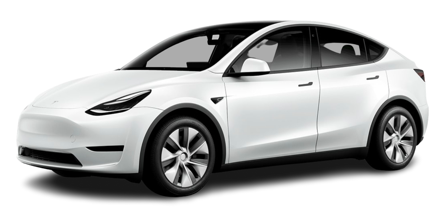 Tesla Model Y Standard Range Model 3 Model S Model X Elektroauto ...